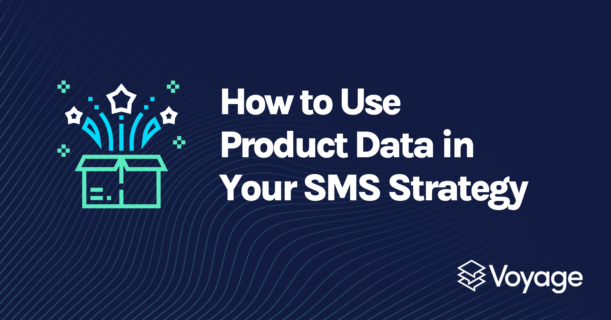 How to Use Product Data in Your SMS Strategy | Voyage SMS